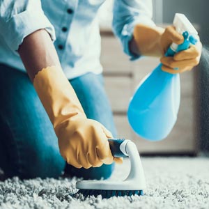 HLC Care Agency | 24/7 Home Care Services & Domestic Cleaning